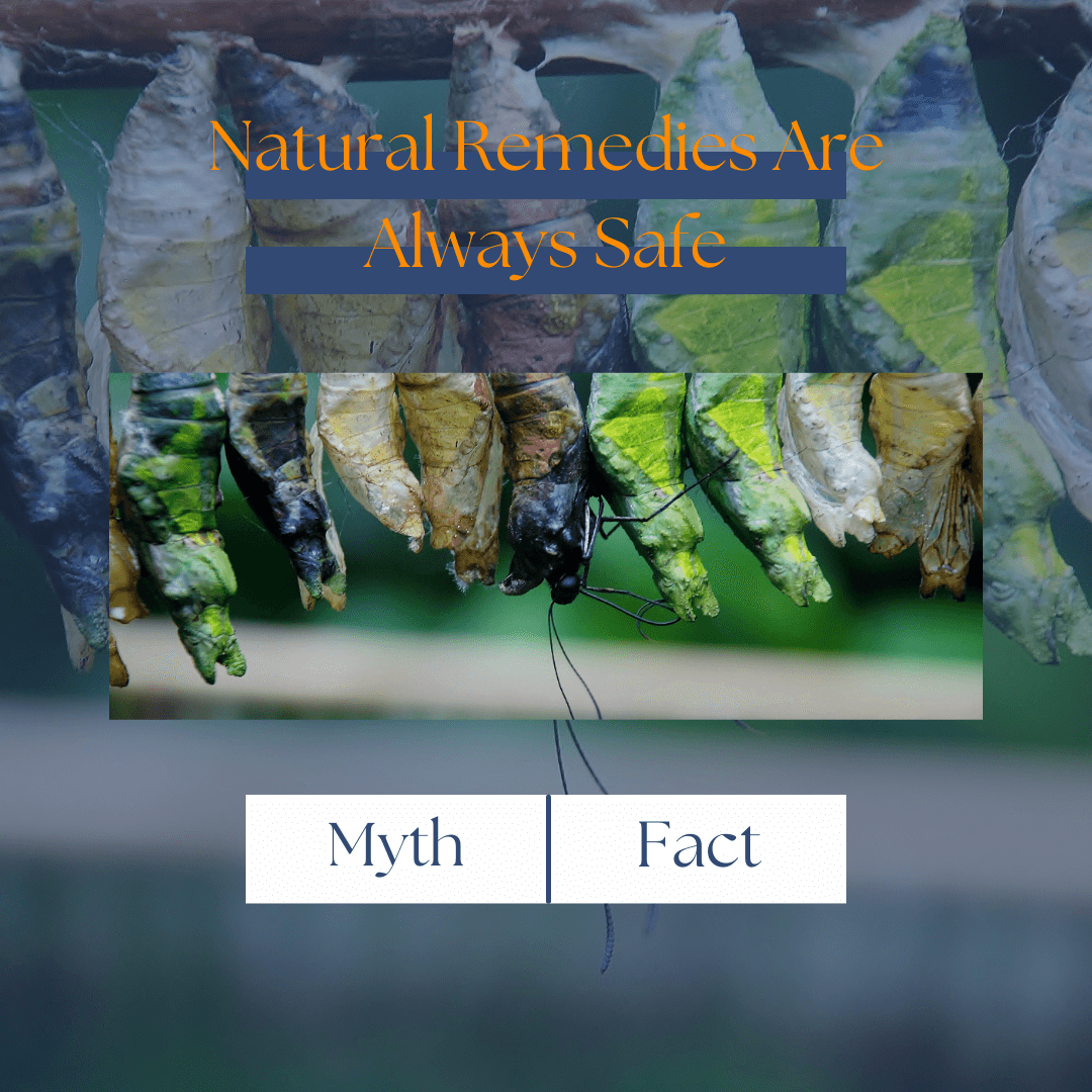 Unveiling the Truth About Natural Pest Remedies: Myths vs. Reality