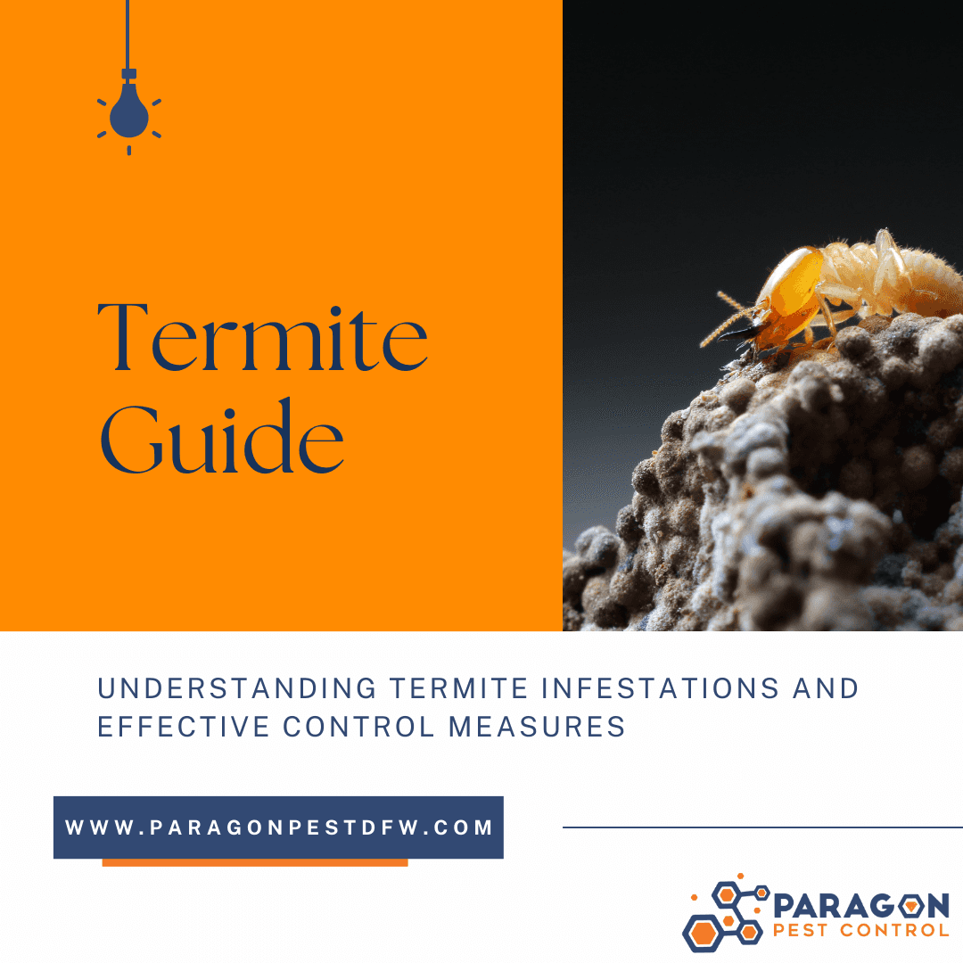 Tackling Termites: Understanding Termite Infestations and Effective ...