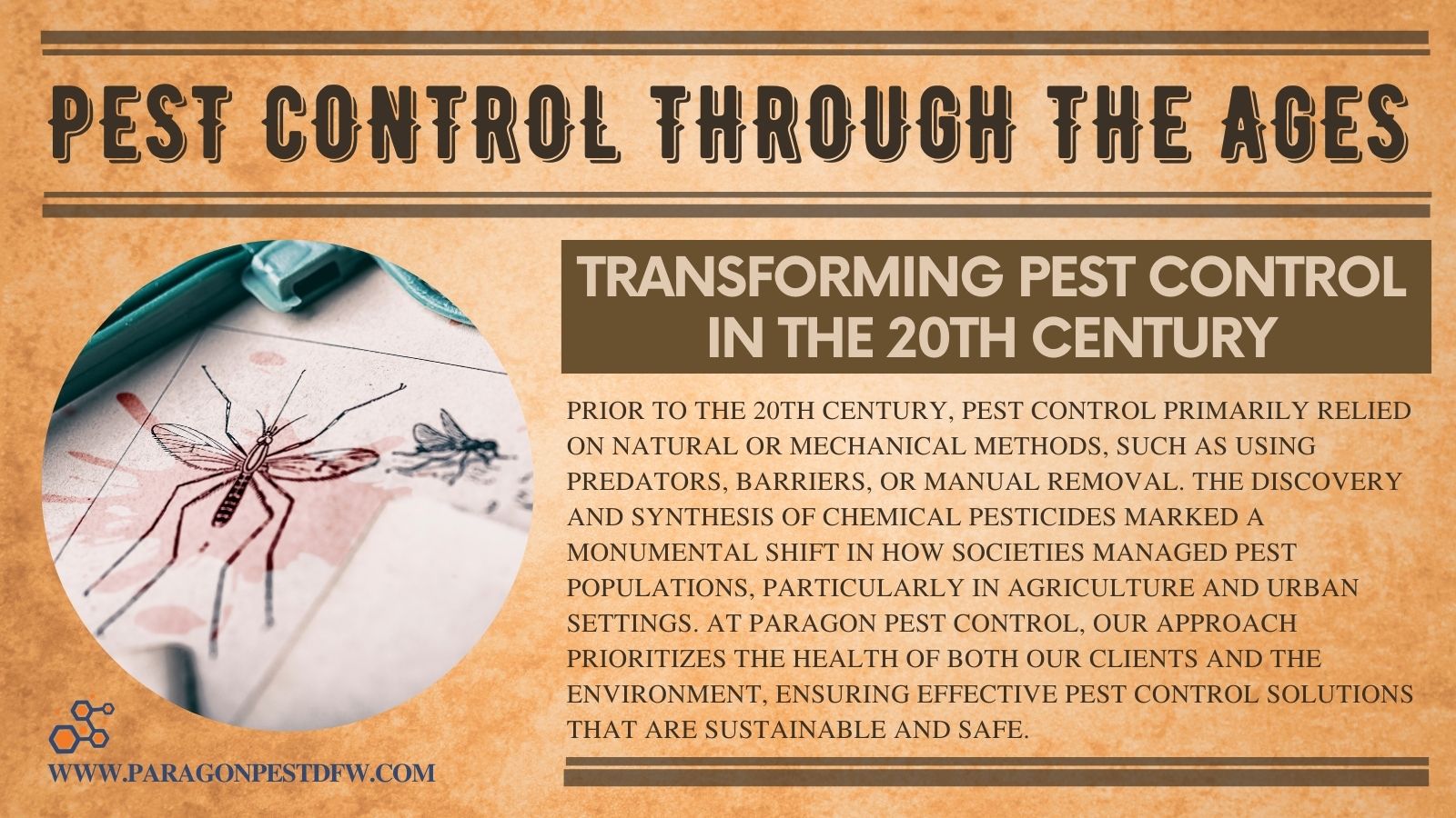 The Pesticide Revolution: Transforming Pest Control in the 20th Century ...