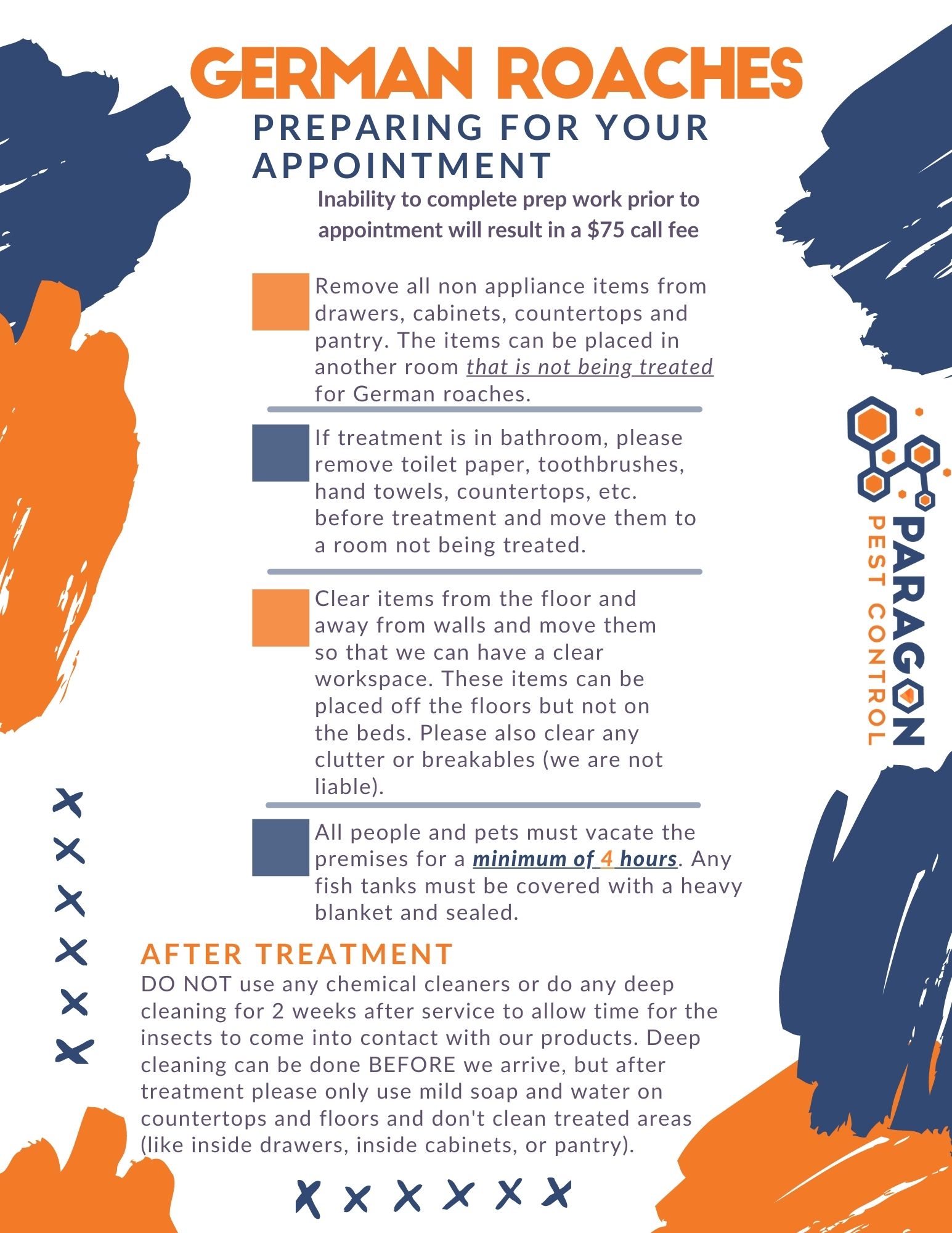 Prep Like a Pro: Essential Steps Before German Roach Treatment ...