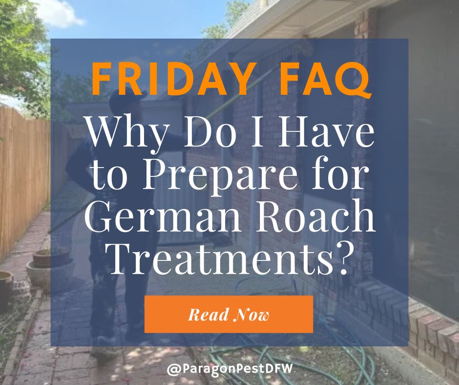 Friday FAQ: Why Preparing for German Roach Treatments is Essential