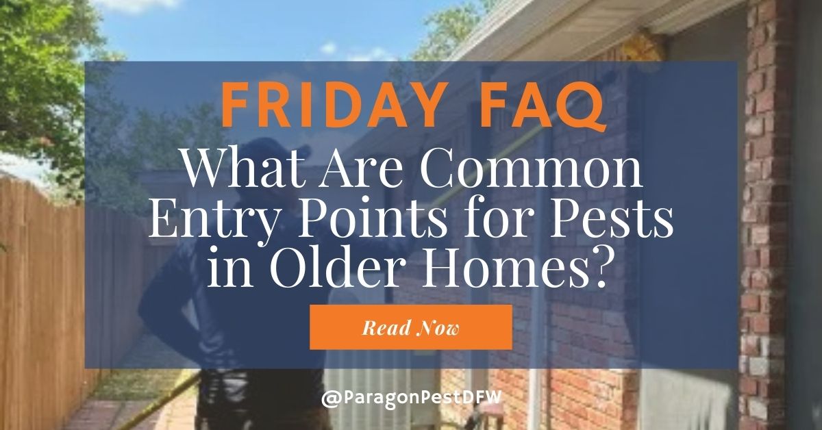 Common Entry Points for Pests in Older Homes | Paragon Pest Control