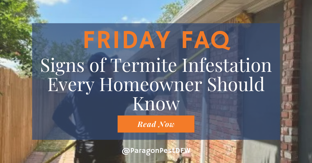 Signs of Termite Infestation | How to Spot Termite Damage Early