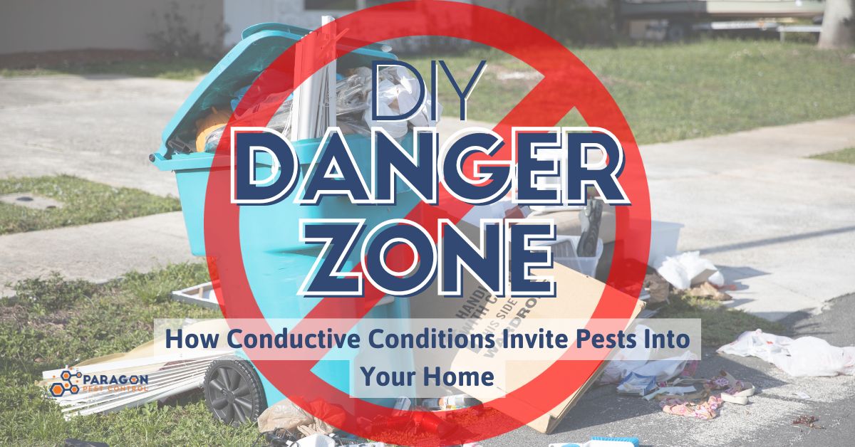 Conductive Conditions That Attract Pests | DIY Pest Control Warning