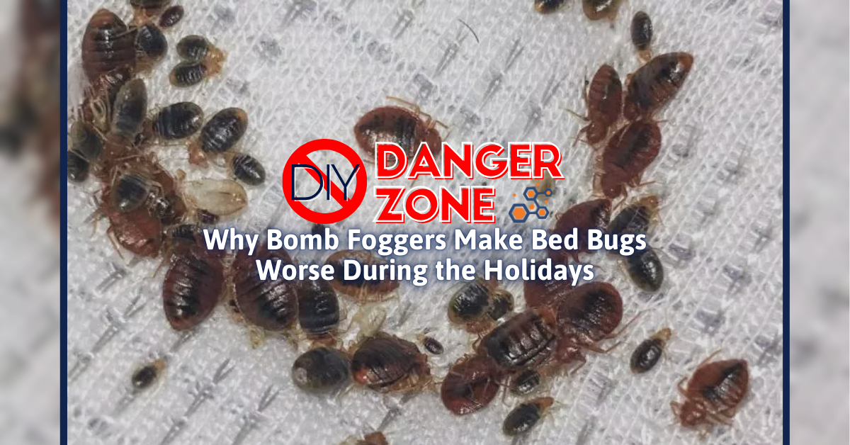 DIY Danger Zone: Why Bug Bombs Make Bed Bugs Worse