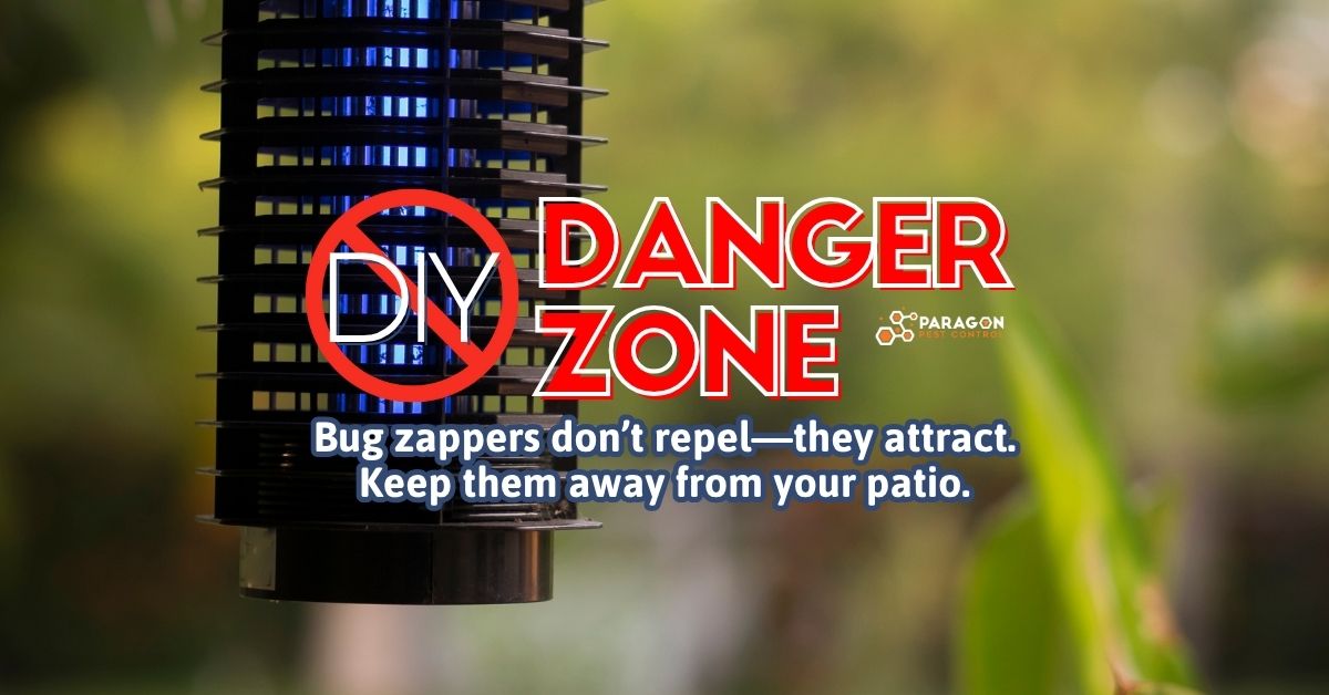 DIY Danger Zone: Why You Shouldn’t Put Bug Zappers Near Patios