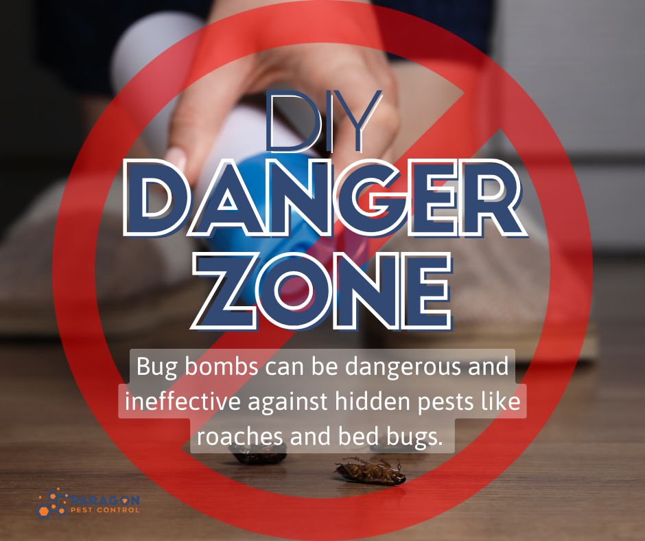 Bug Bombs Aren’t Safe or Effective – Trust Paragon Pest Control