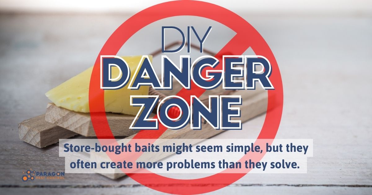 DIY Rodent Bait Risks | Professional Rodent Control in DFW