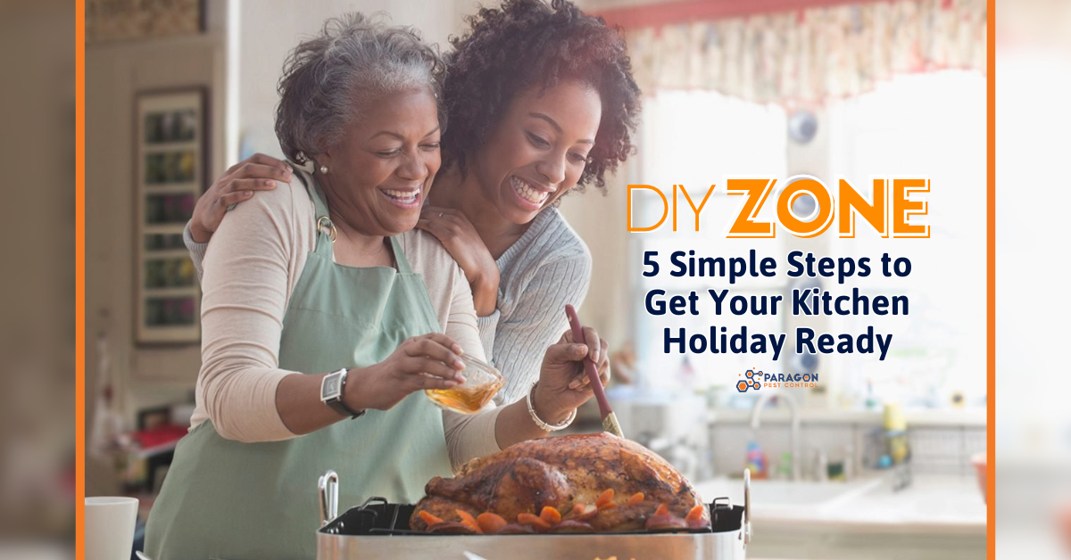DIY Zone: 5 Simple Steps to Get Your Kitchen Holiday Ready