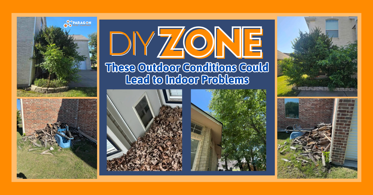 Yard Checklist for Wildlife Prevention | Paragon Pest Control DFW