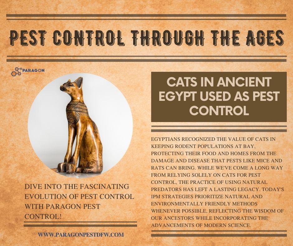 Pest Control Through the Ages: Ancient Egyptian Methods | Paragon Pest Control