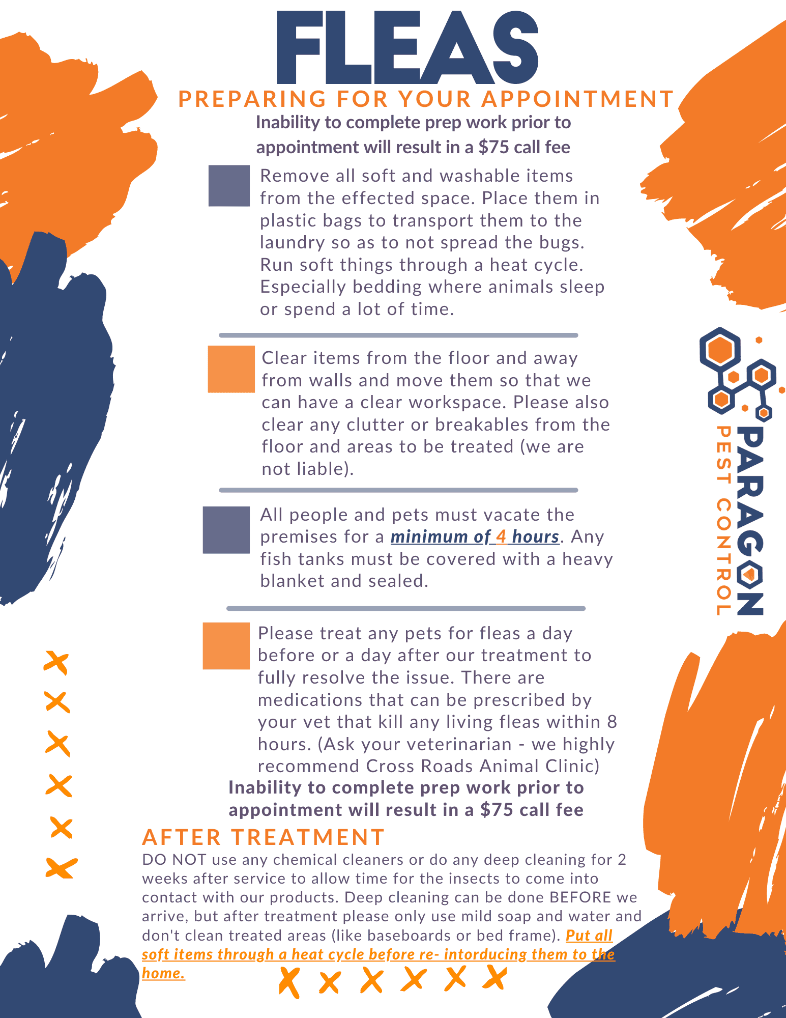 Flea-Free Forever: How to Prep Your Home for Effective Flea Treatment