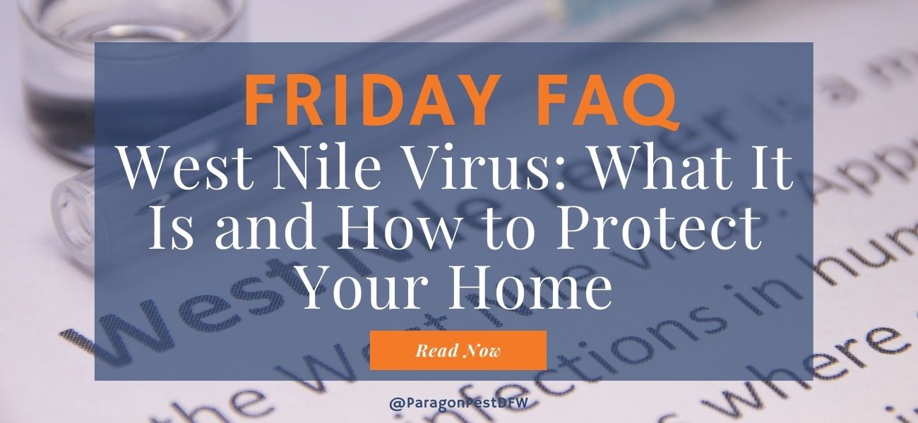 Friday FAQ: Understanding West Nile Virus and How to Protect Your Home