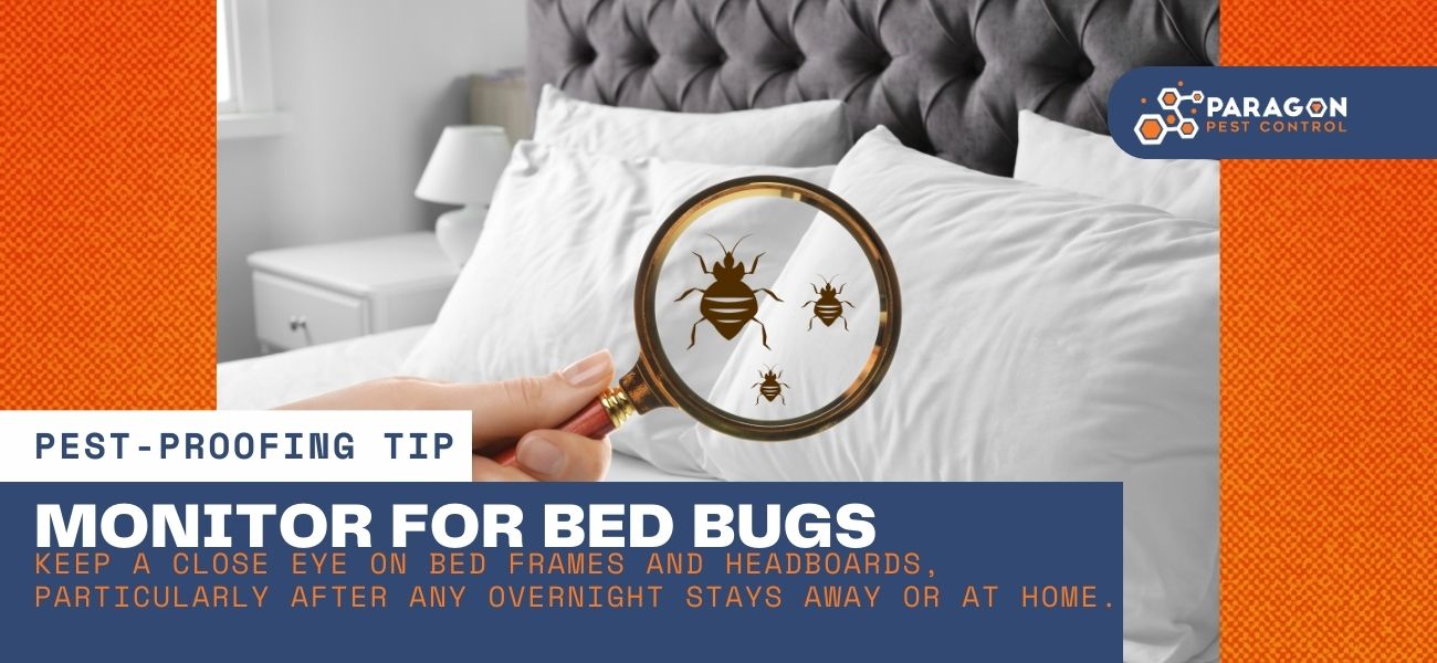 Tuesday Tips: How to Monitor for Bed Bugs | Paragon Pest Control