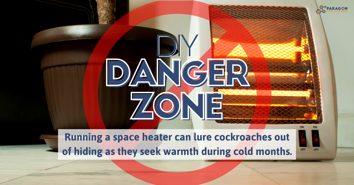 DIY Danger Zone: How Space Heaters Attract Cockroaches